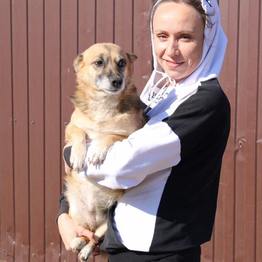 Маленькая собачка в добрые руки