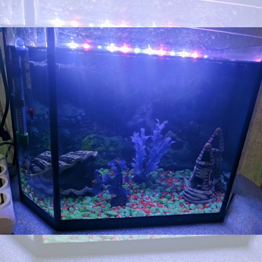 Аквариум с рыбкамии аксессуарами и кормом