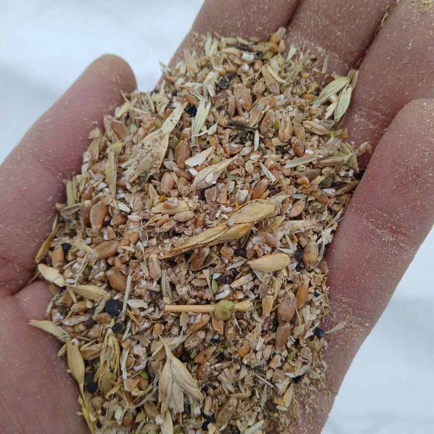 Зерновые отходы