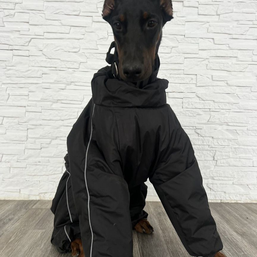 Зимний комбинезон для собак (самок)