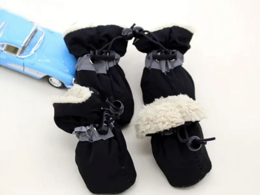 Болоневые ботинки для собаки