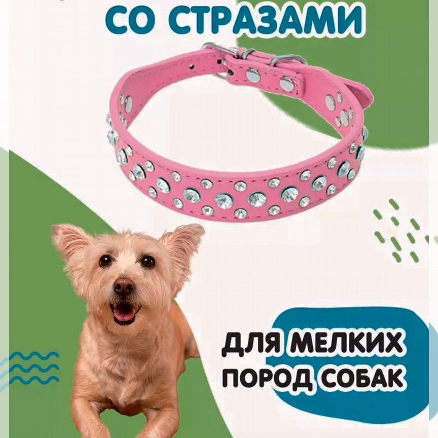 Ошейник для собак
