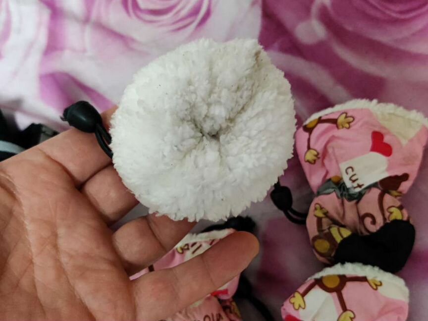 Обувь для маленьких собак