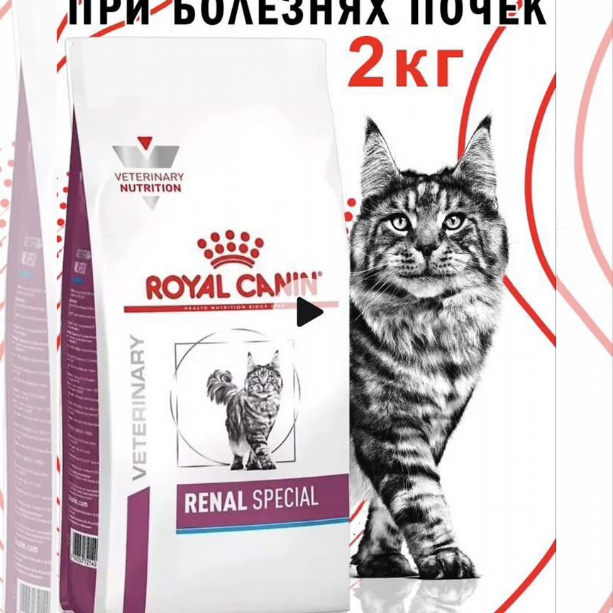 Сухой корм для кошек royal canin