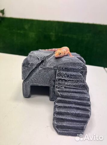 Эублефар с террариумом с оформлением