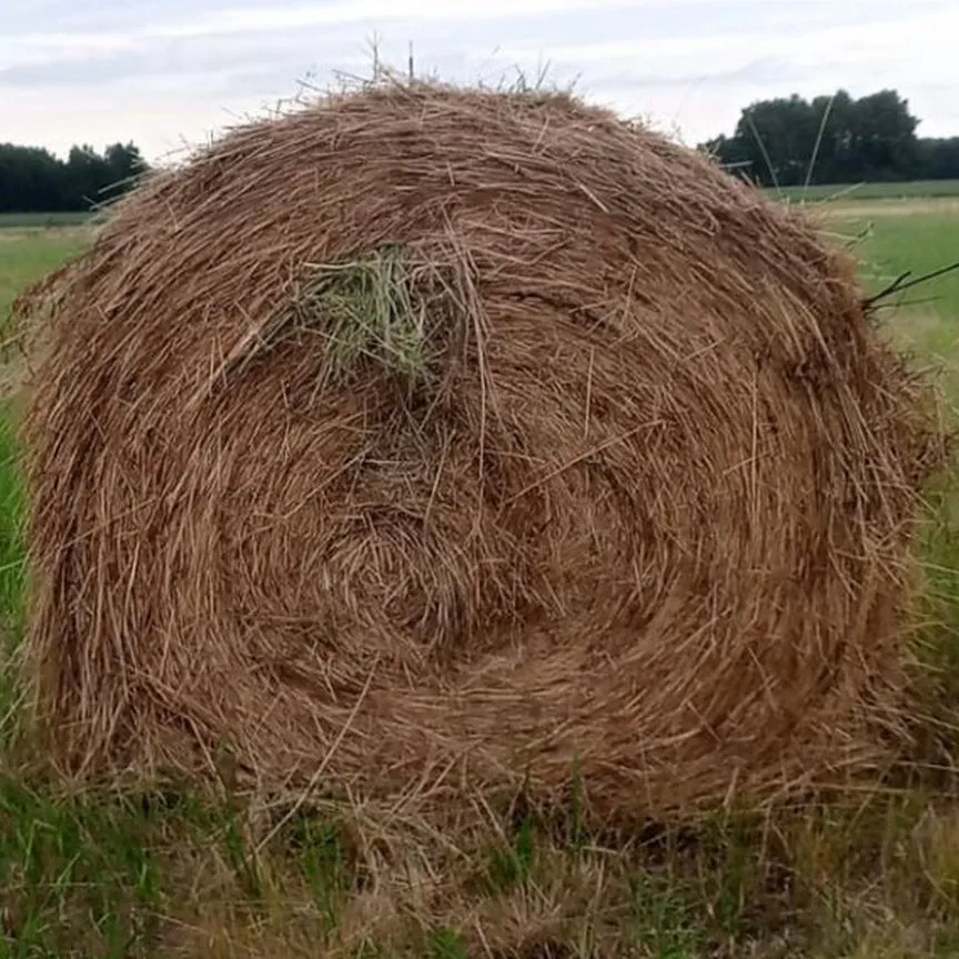 Продам сено в рулонах