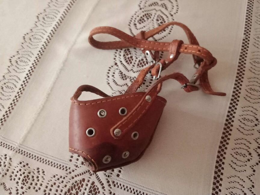 Намордник для большой собаки