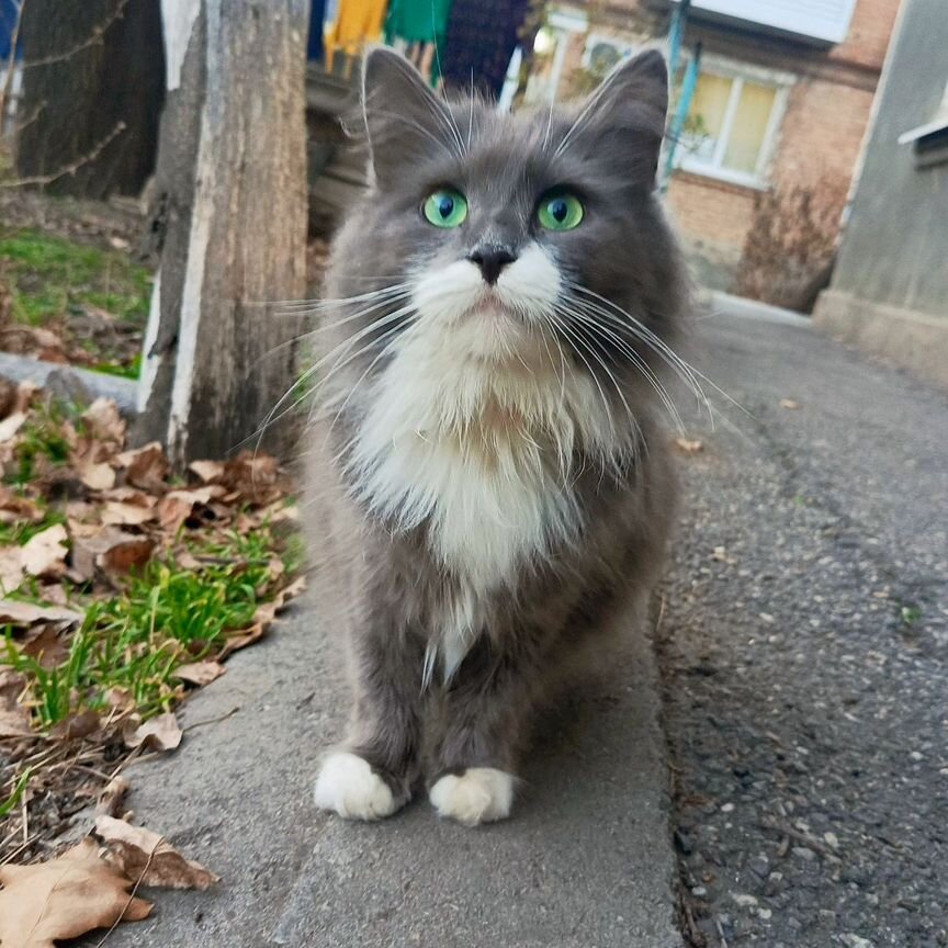 Изумрудные глаза у пуховой девочки