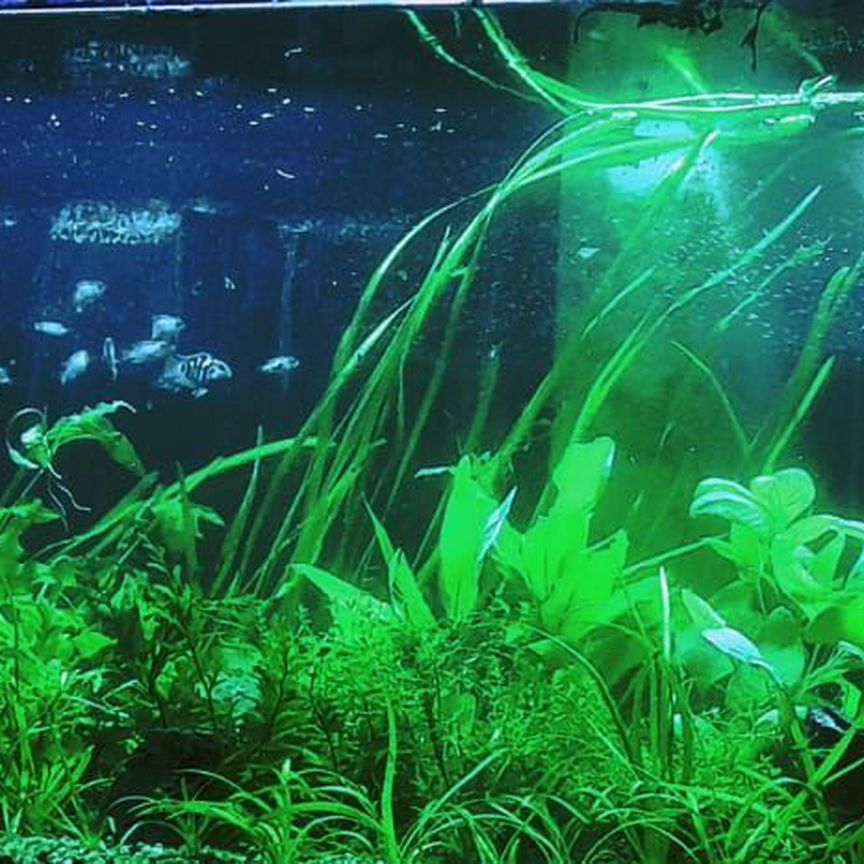 Аквариум 94 л