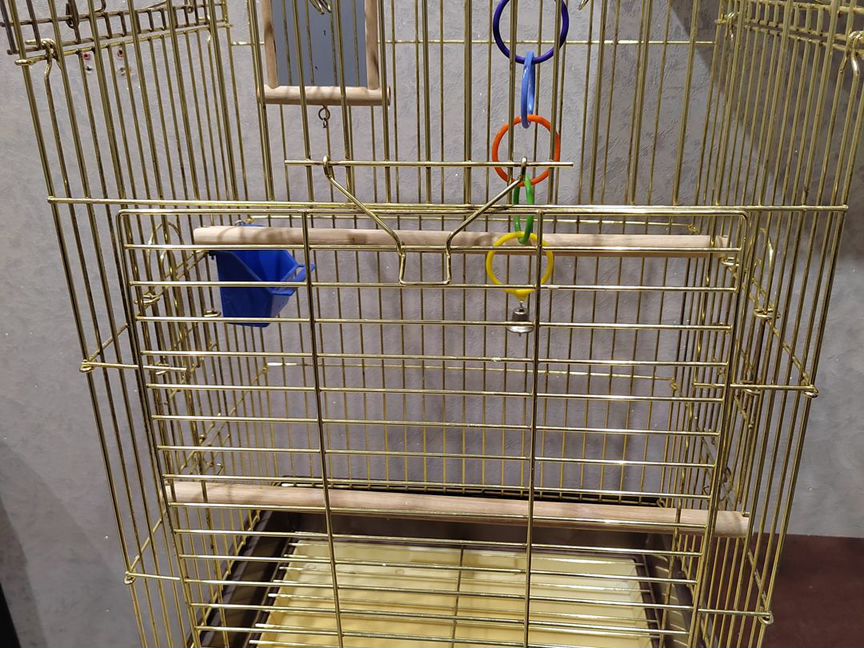 Клетка для средних попугаев
