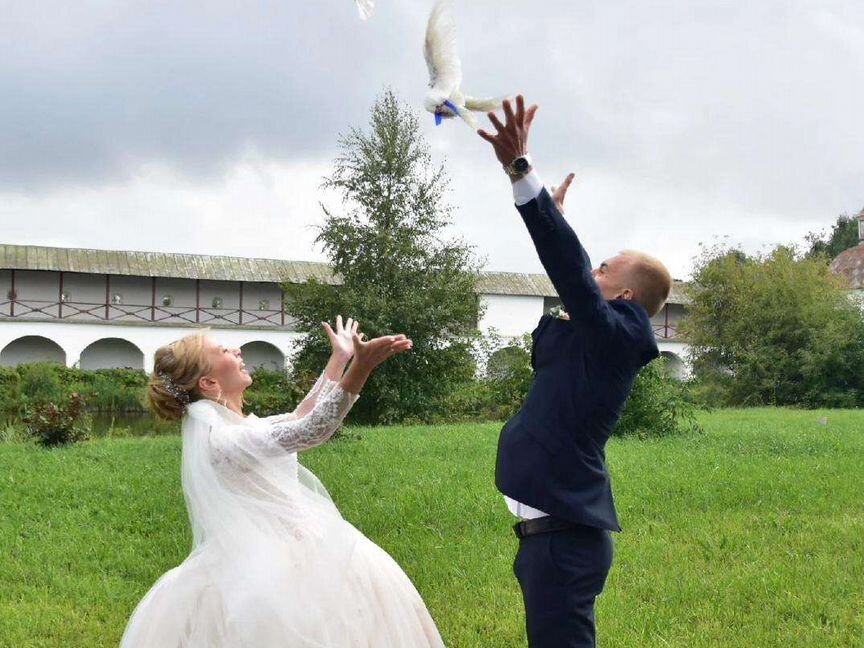 Почтовые голуби на свадьбу