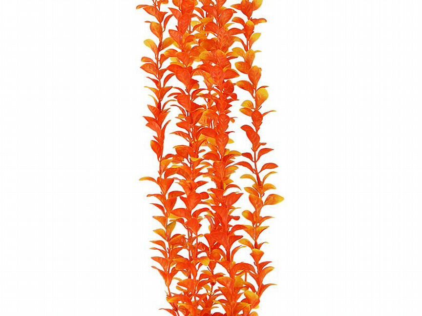 Растение "Людвигия" оранжевая, 400мм, Laguna