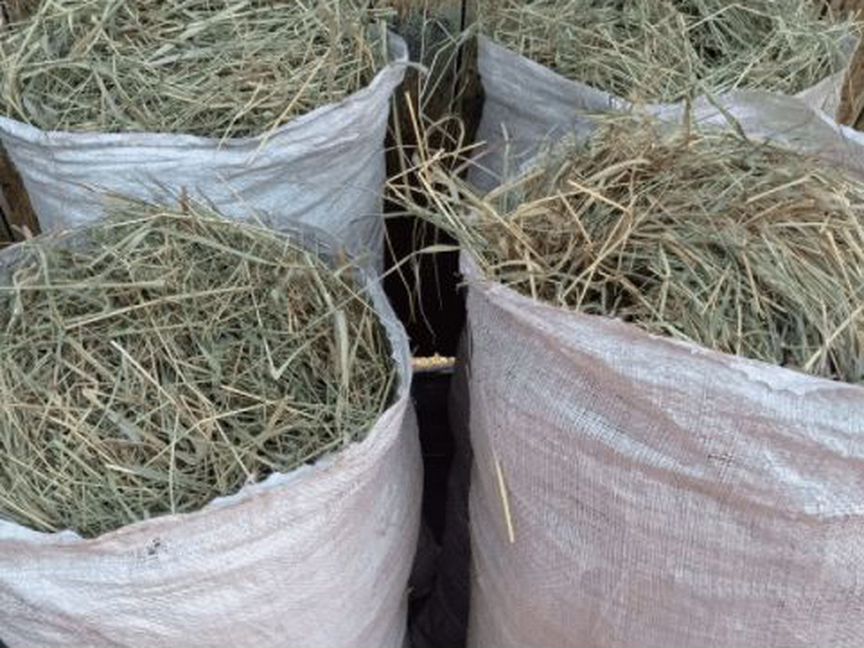 Сено Солома