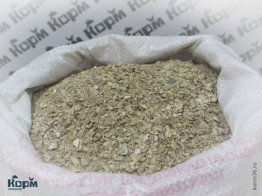 Ракушка морская кормовая