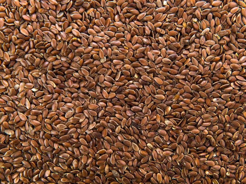 Лен масличный