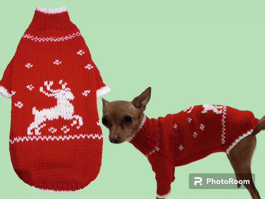 Одежда для маленьких собак