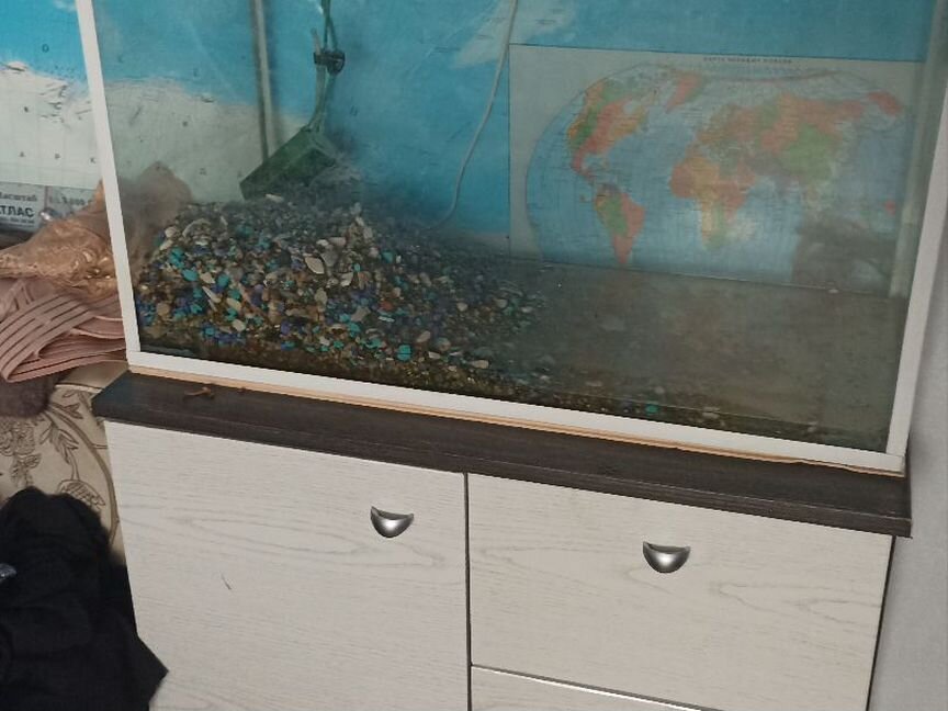 Аквариумные рыбки