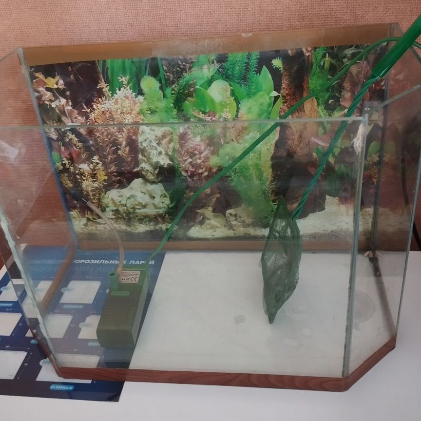 Аквариум