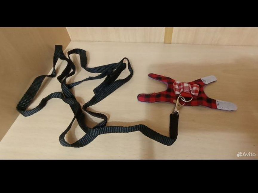 Товары для грызунов