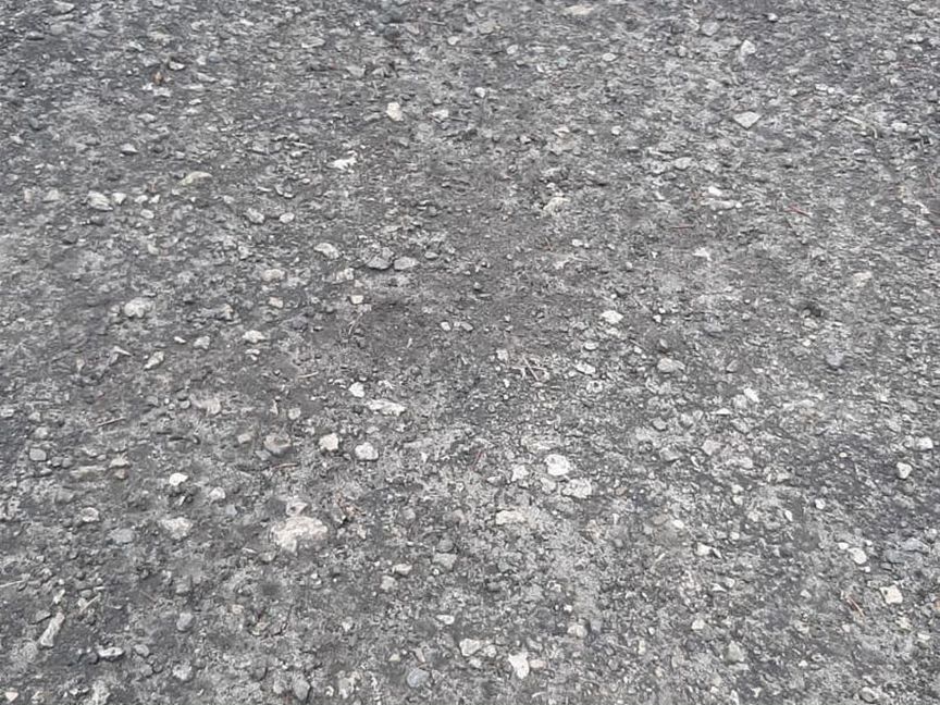 Продаются щенки спаниеля