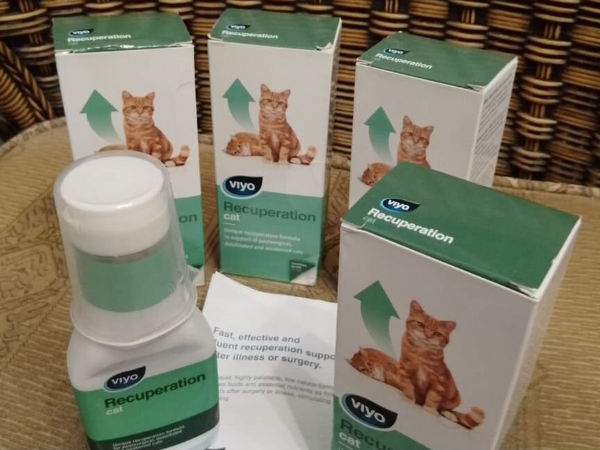 Viyo (Вийо) Recuperation для кошек
