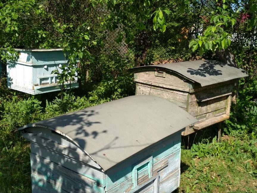 Пчелиные ульи