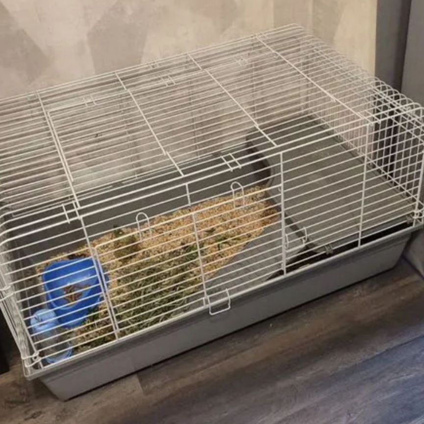 Клетка для грызунов пластиковая