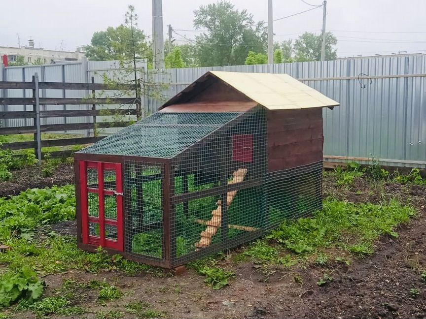 Курятник для кур