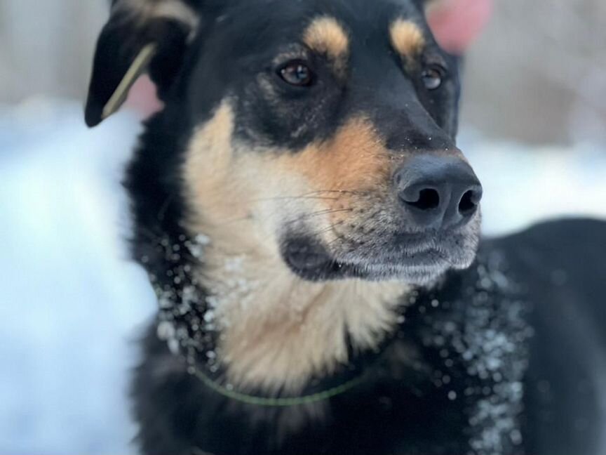 Подарите Марку дом