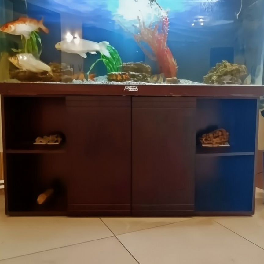 Продается аквариум 300л с рыбками и всем