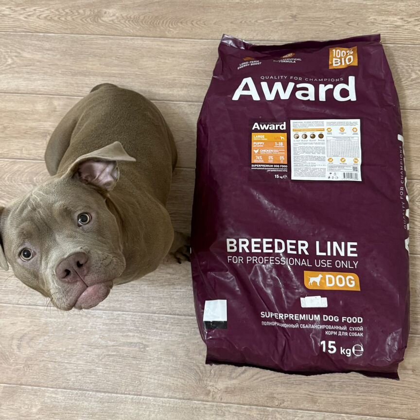 Сухой корм для собак award