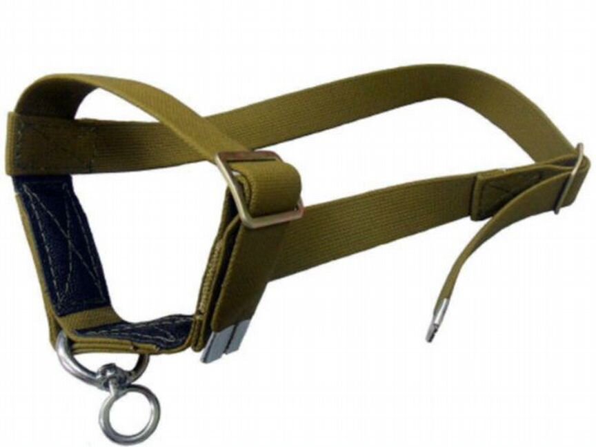 Намордник для крс коров широкий