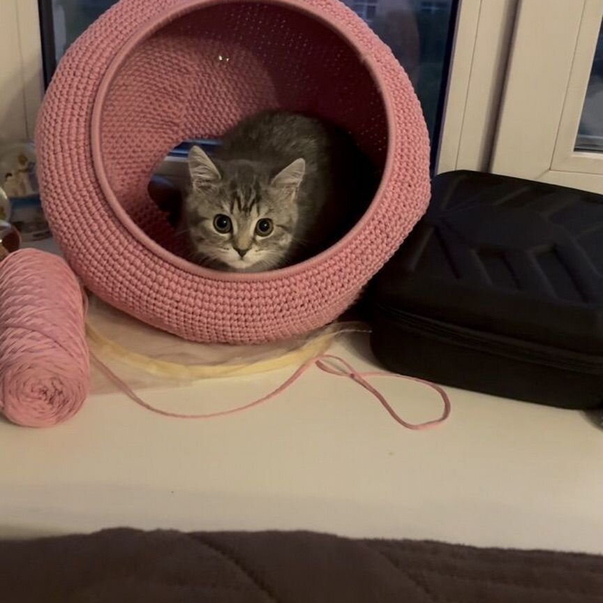 Домик для кошки
