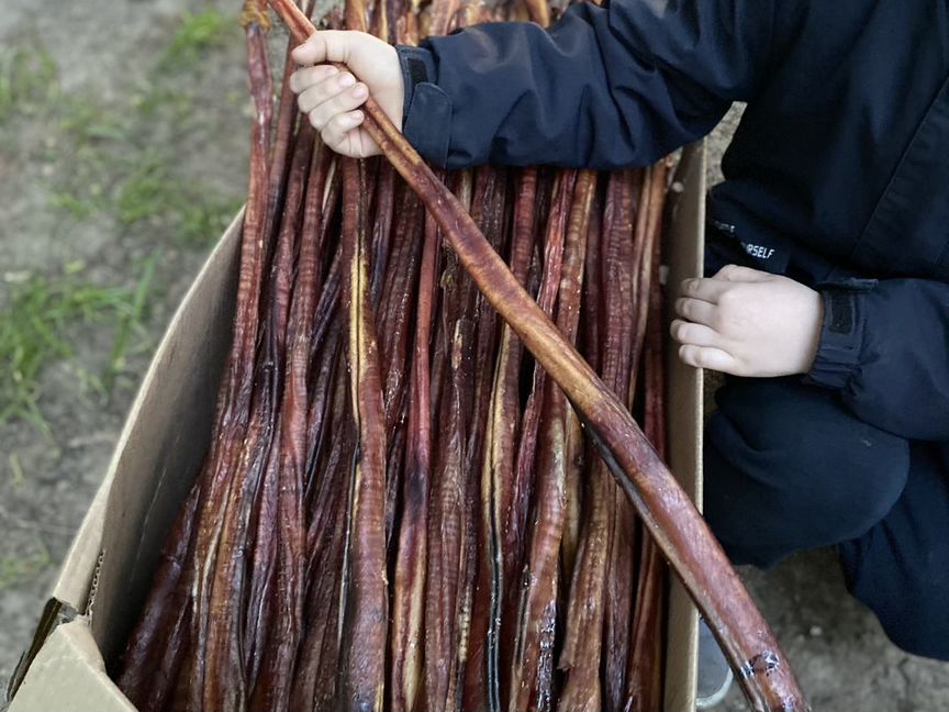 Цельный бычий корень