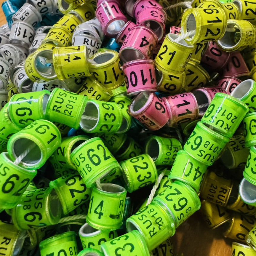 Кольца для голубей