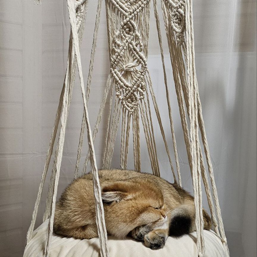 Гамак для кошек