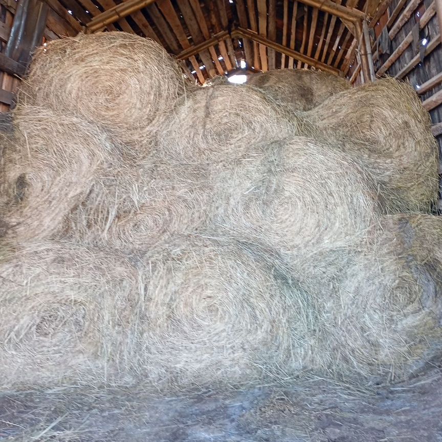 Сено в рулонах