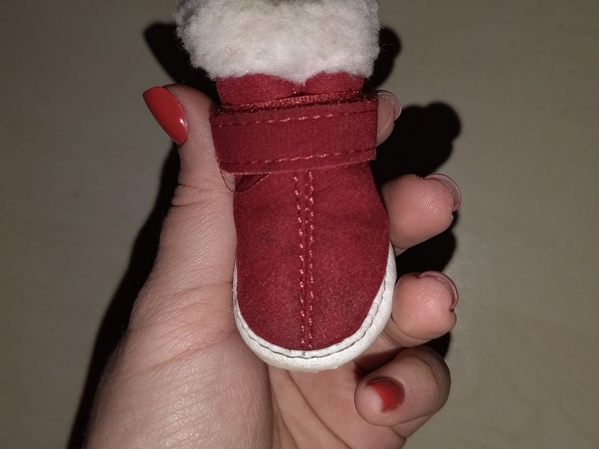 Сапоги зимние на маленькую собачку