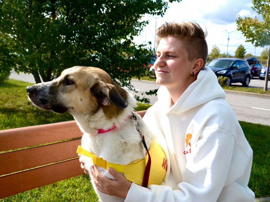 Прекрасная Бэлла ищет дом