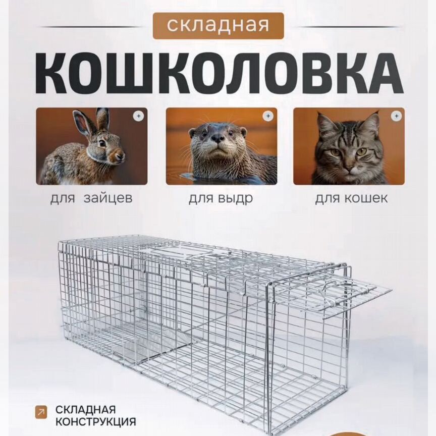 Ловушка для кошек