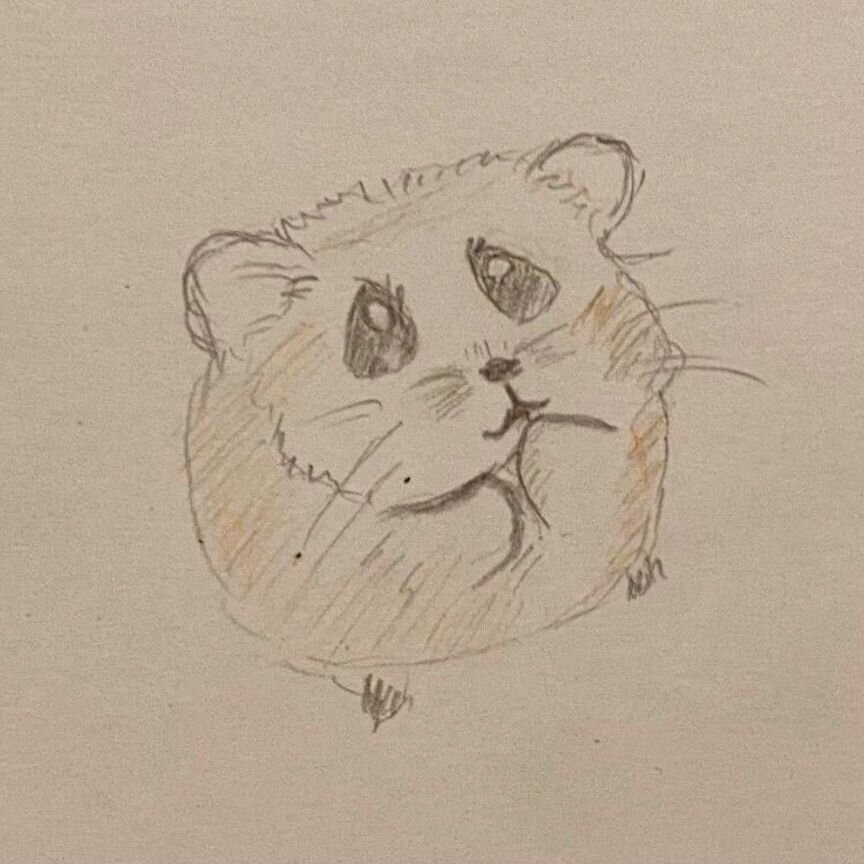 Рисую ваших питомцев