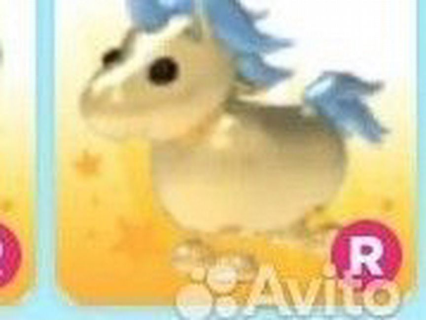 Продаю пета