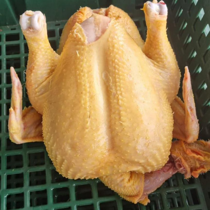 Куры бройлеры тушки мясо холяль