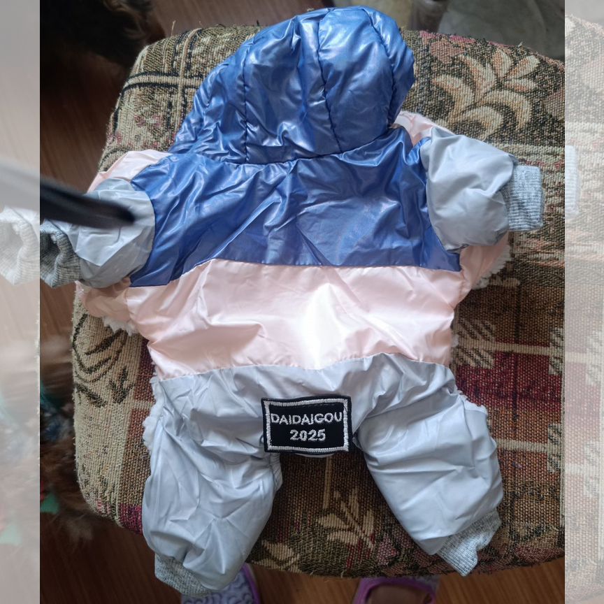 Одежда для маленьких собак xs