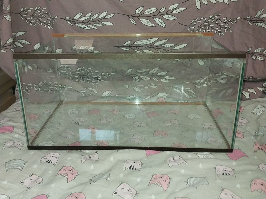 Аквариум для сухопутных