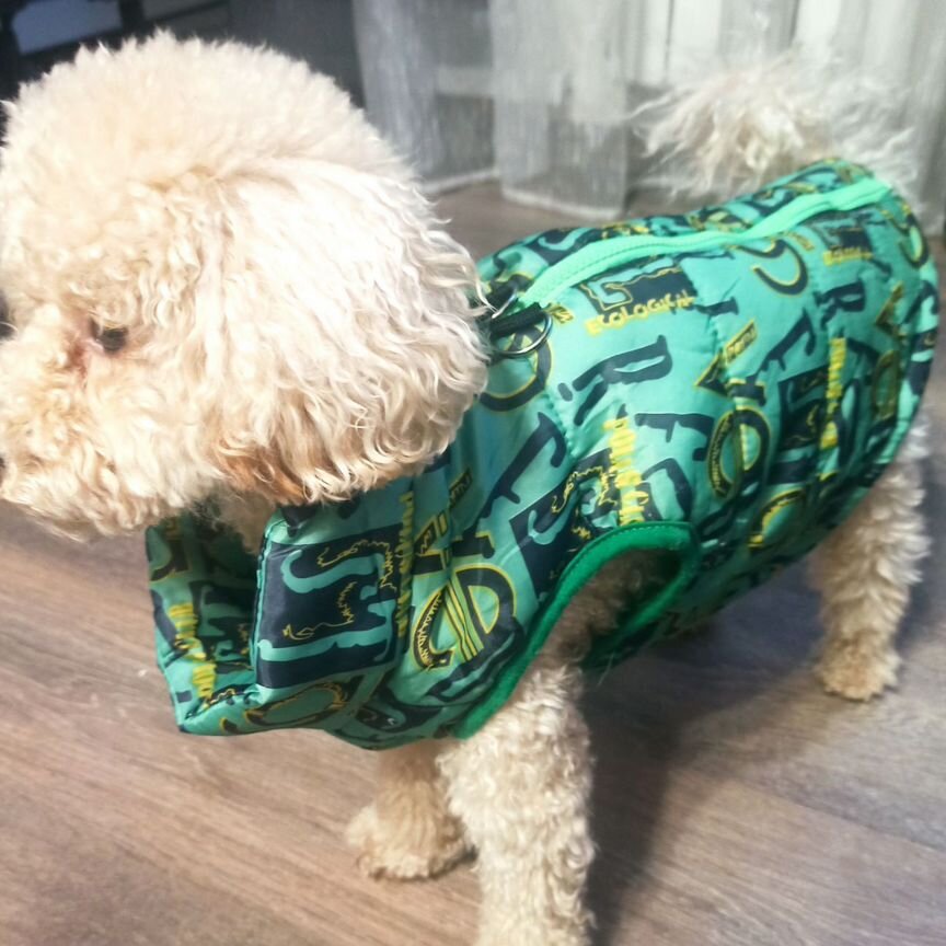 Одежда для собак мелких пород