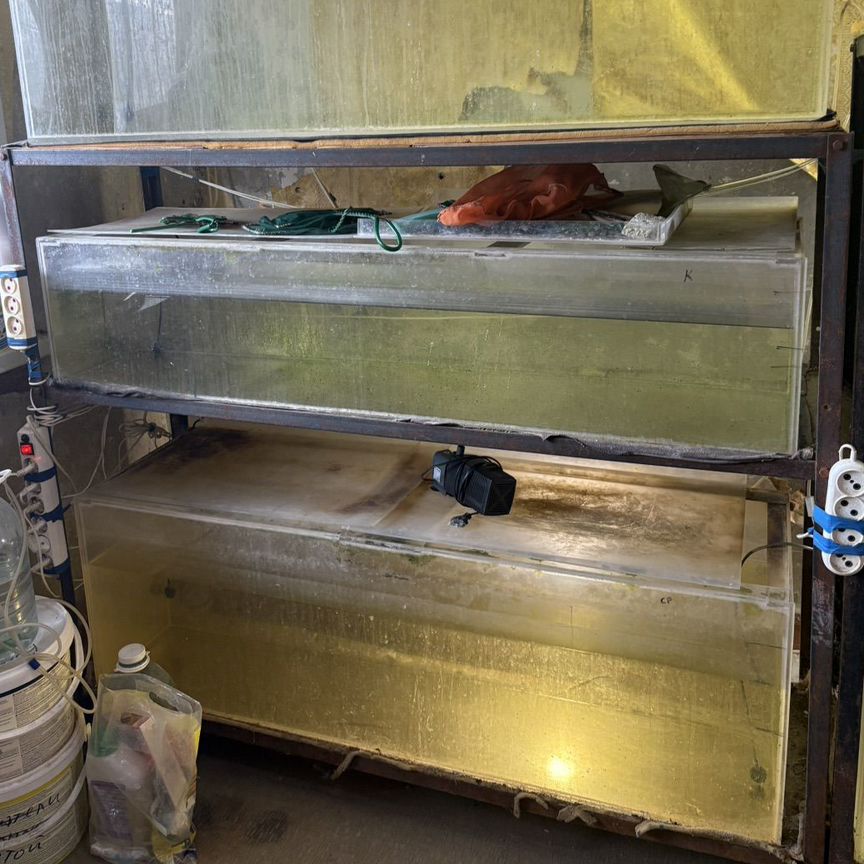 Стеллаж с аквариумами