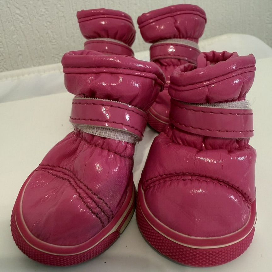 Обувь для маленьких собак