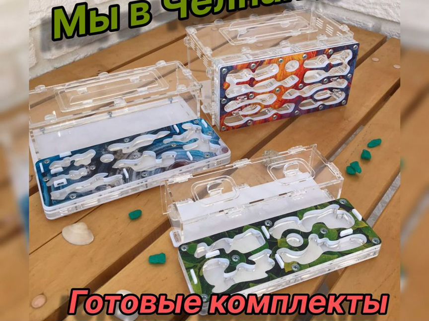 Муравьиная ферма с муравьями