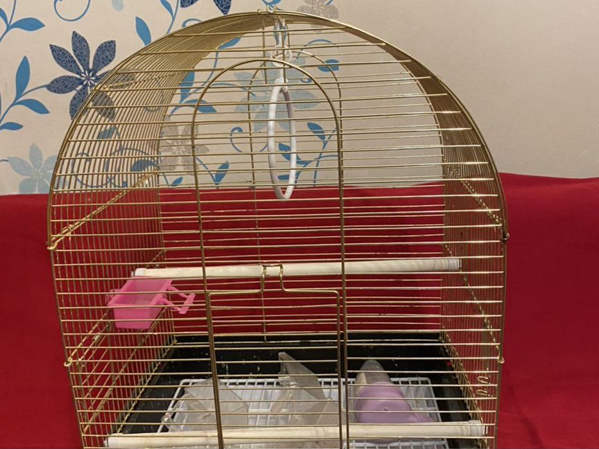 Клеткa для попугая в пользовании пол года,новые